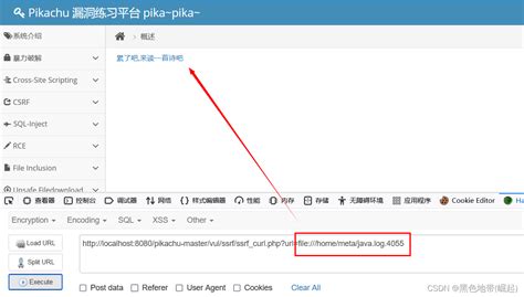 （292）【ssrf漏洞】原理、危害利用、触发点、利用过程、协议使用ssrf漏洞curl和file Get区别 Csdn博客