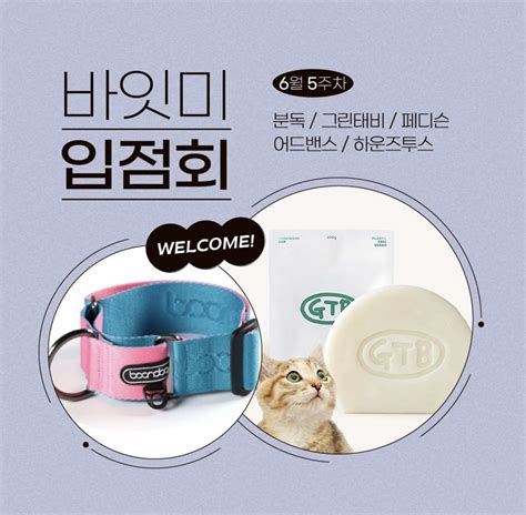 전단지에 있는 미연 김님의 핀 제품 브로셔 프로모션 배너 배너