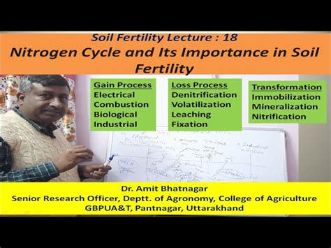 Importance Of Soil Fertility