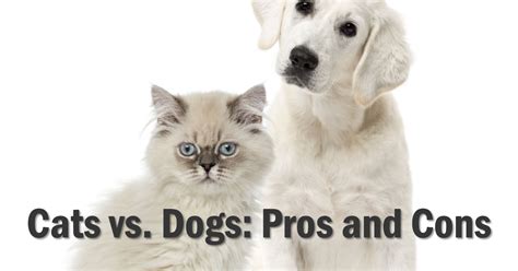 Cats Vs Dogs Exploring The Top 10 Pros And Cons Of Perfect Pets Mac