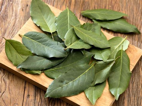 Para Que Sirven Las Hojas De Laurel En La Cocina CocinaDelirante