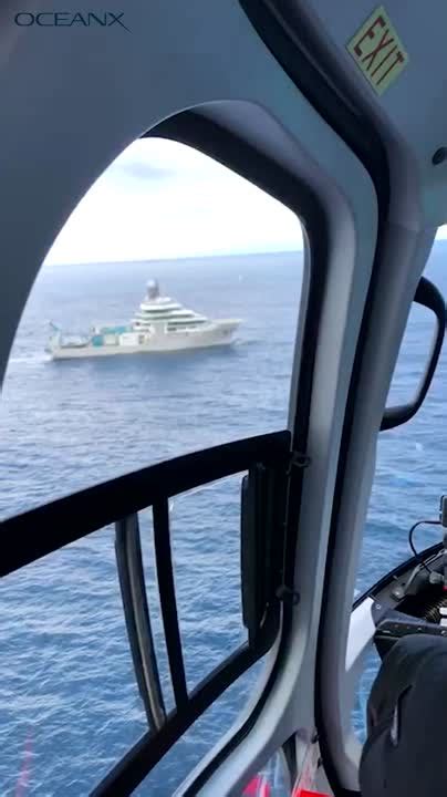 Joe Ruffolo On Linkedin Marine Mammal Scouting—complete 14 Comments