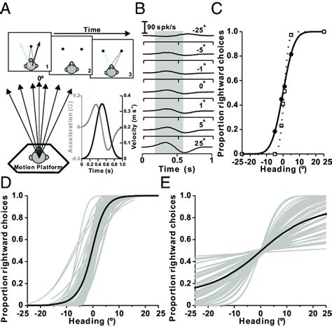 Behavioral Task Neural Analysis And Summary Of Neuronal And