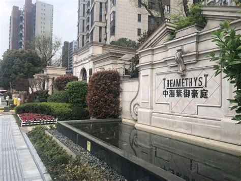 普陀的这几个板块成了高地