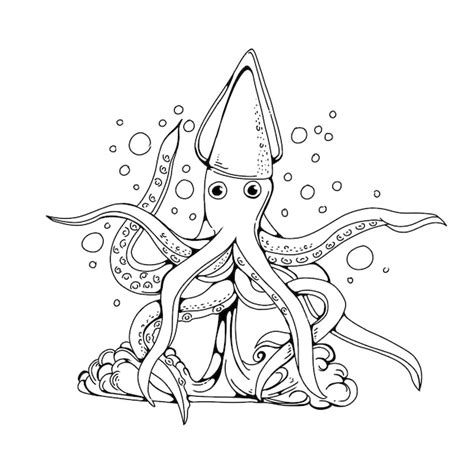 Calamar Dibujado A Mano Doodle Ilustraciones Vector Conjunto Vector