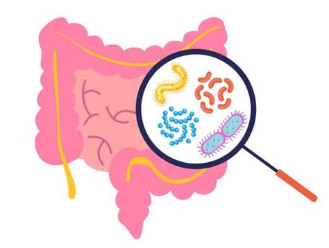 Leczenie Clostridium Difficile W Domu Co Trzeba Wiedzieć Pracownia Emocji
