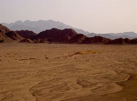 Itbāy Nicolas Hoizeyphotogalleriestravelsafricaegypt Flickr