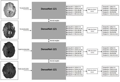 Encoder Architecture M2 The Network Processes The Different Input Download Scientific