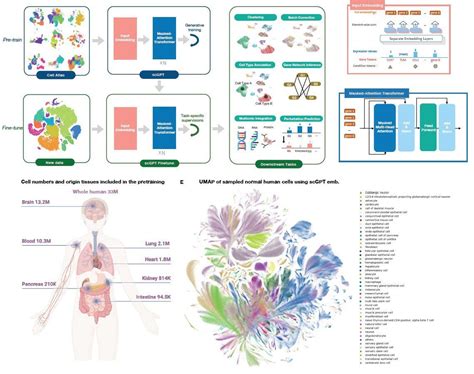 Spatialomics Spatialbiology Singlecellanalysis Singlecell