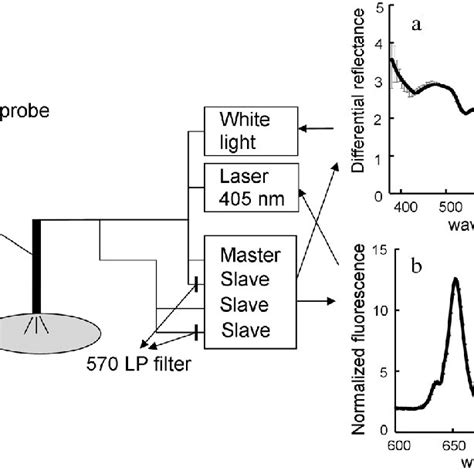 Schematic Diagram Of The FDPS Measurement Setup Used In Our Study On Download Scientific