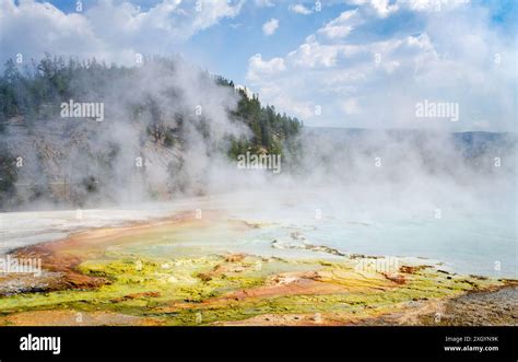 The White Silica Rich Sinter On The Ground By The Hydrothermal Waters