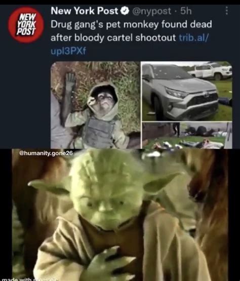 The Best Damn Memes Memedroid