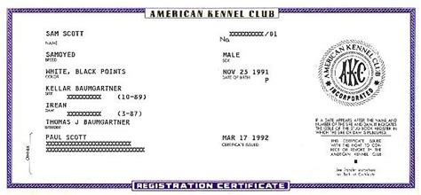Akc Certificate Sam Scott