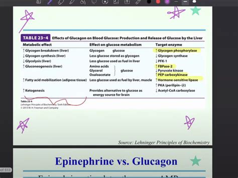 Final Exam Material Integration Of Metabolism Flashcards Quizlet