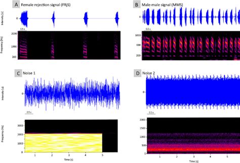 Sonograms Above And Spectrograms Below Of A Portion Of The