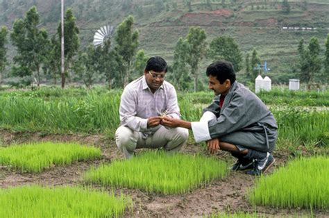 Drought Relief For Farmers Using Real Time Data Un Water