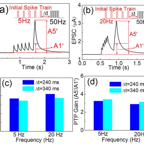 A Epsc Response Triggered By A Presynaptic Spike Train Following An Download Scientific
