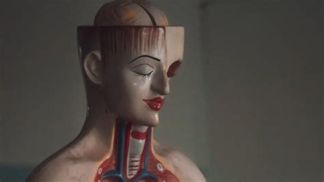 What Is Pepsin Enzyme And How Does It Work