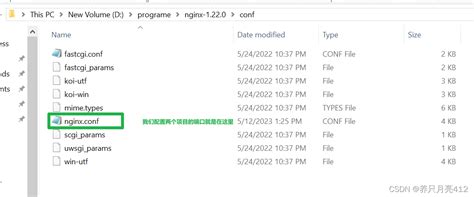 使用nginx如何部署两个不同的项目 nginx服务器上部署多个api csdn博客