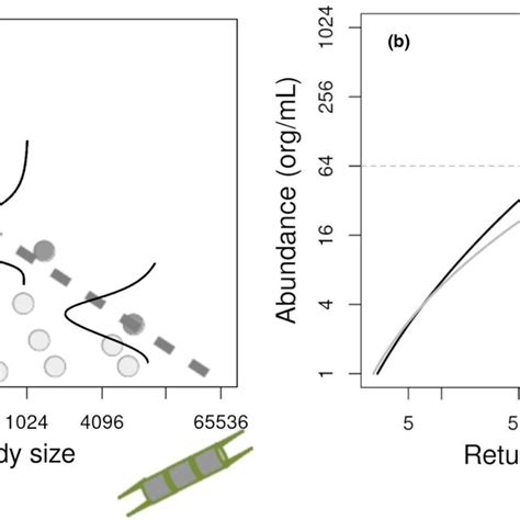 Schematic Representation Of The A Size‐abundance Distribution Showing