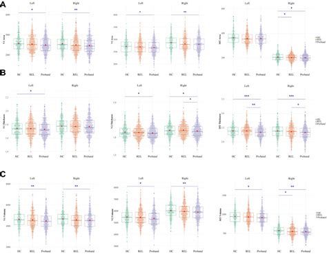 Regional And Sex Specific Alterations In The Visual Cortex Of