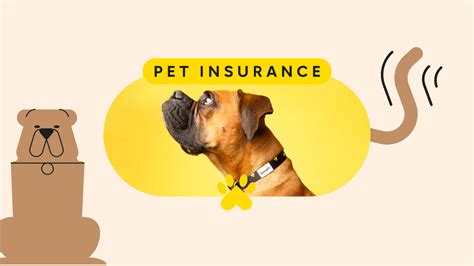 Pet Insurance Market May See A Big Move Major Giants Pethealth
