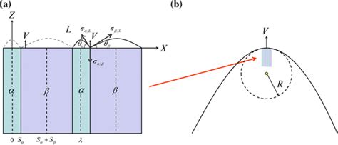 Schematic Diagram For Modeling Of Eutectic Dendrite Growth In Download Scientific Diagram