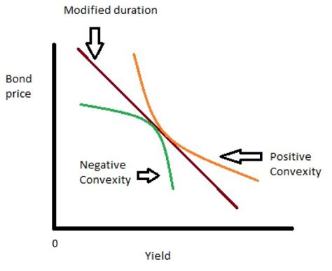 Hadi Dahhas On Linkedin Understanding Convexity As The Fed Begins Its