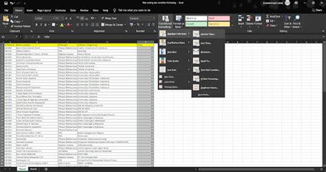 Panduan Menggunakan Perintah Filter Dan Conditional Formatting Pada Ms