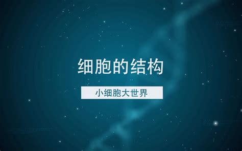 Bilibili