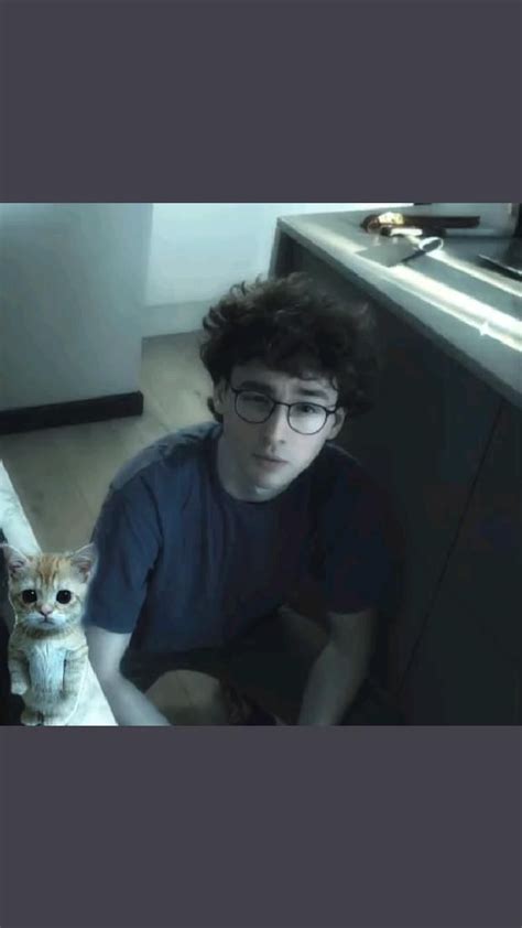 научите также монтировать Brain Mapping Memes Happy Cat
