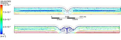 Streamlines Generated Due To A Single Top And Double Bottom