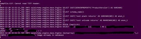 Undefined Behavior Using Numpyarray To Convert Instances Of Pil