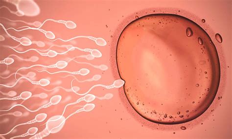 Even Mild COVID 19 Infection Negatively Affects Semen Quality In Men