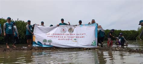 Tanam 20 500 Pohon Mangrove Upaya Wujudkan Net Zero Emission JURNAL86