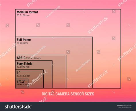 Camera Sensor Specifications At Ruben Lefebvre Blog
