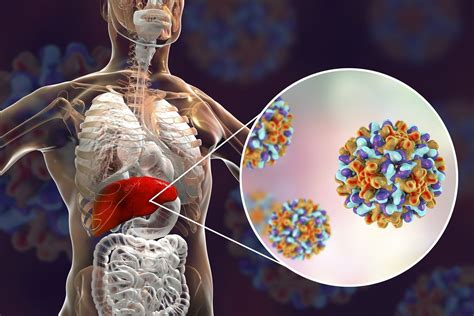 Você Tem Receio Do Tratamento Da Hepatite B Clínica Gastrolife