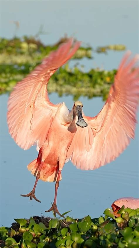 When I Was Little I Read As Many Books As I Could Find One Of The