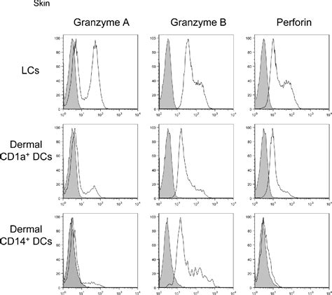Figure 3 From Understanding Human Myeloid Dendritic Cell Subsets For The Rational Design Of