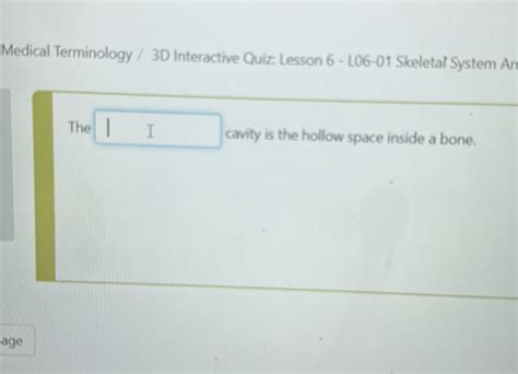 Medical Terminology 3D Interactive Quiz StudyX