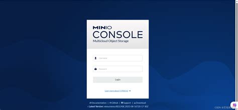 Minio文件服务器超详细 Csdn博客