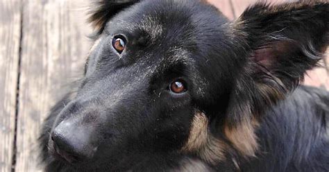 Kaiser Album On Imgur Kaiser Album On Imgur