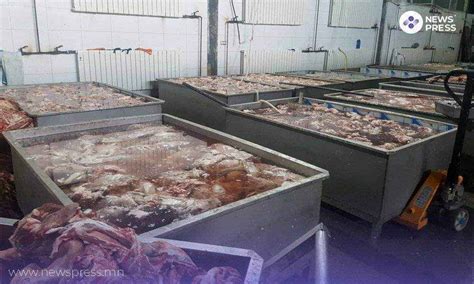 “Эм Ди Си Пи” ХХК гарал үүсэл нь тодорхойгүй хугацаа нь дууссан нунтаг бодис хэрэглэж байжээ