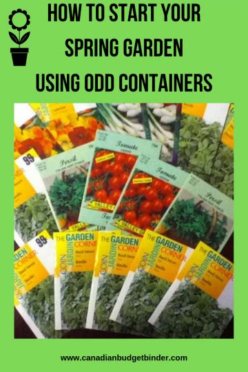 How To Start Your Spring Garden Using Odd Containers Canadian Budget