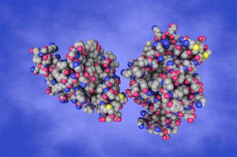 Structure Of Cdc42hs And Gdp Complex Space Filling Molecular Model On Blue Background 3d