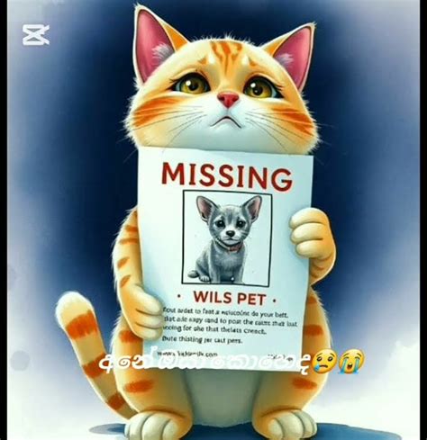 අනේ ඔයා කොහෙද ඉන්නෙ😢 Please කවුද මට එයාව හොයලා දෙන්නෙ😭😭 මං ගොඩක් දුකින් ඉන්නෙ😢 Youtube