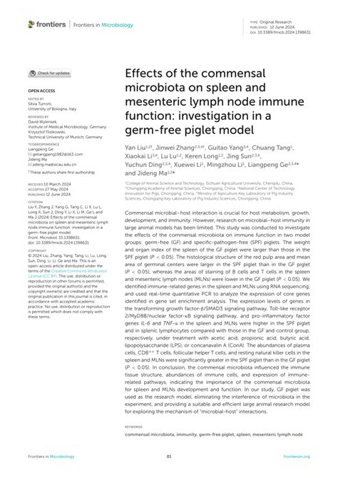 Pdf Effects Of The Commensal Microbiota On Spleen And Mesenteric