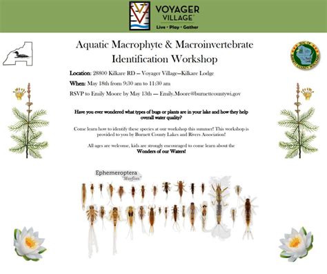 Aquatic Macrophyte And Macroinvertebrate Identification Workshop With