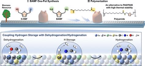 Tandem Synthesis Of Biobased Nylon Monomer Via Dynamic Hydrogen