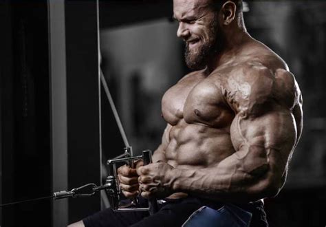 Daily Undulating Periodization Does It Work For Hypertrophy Fitness